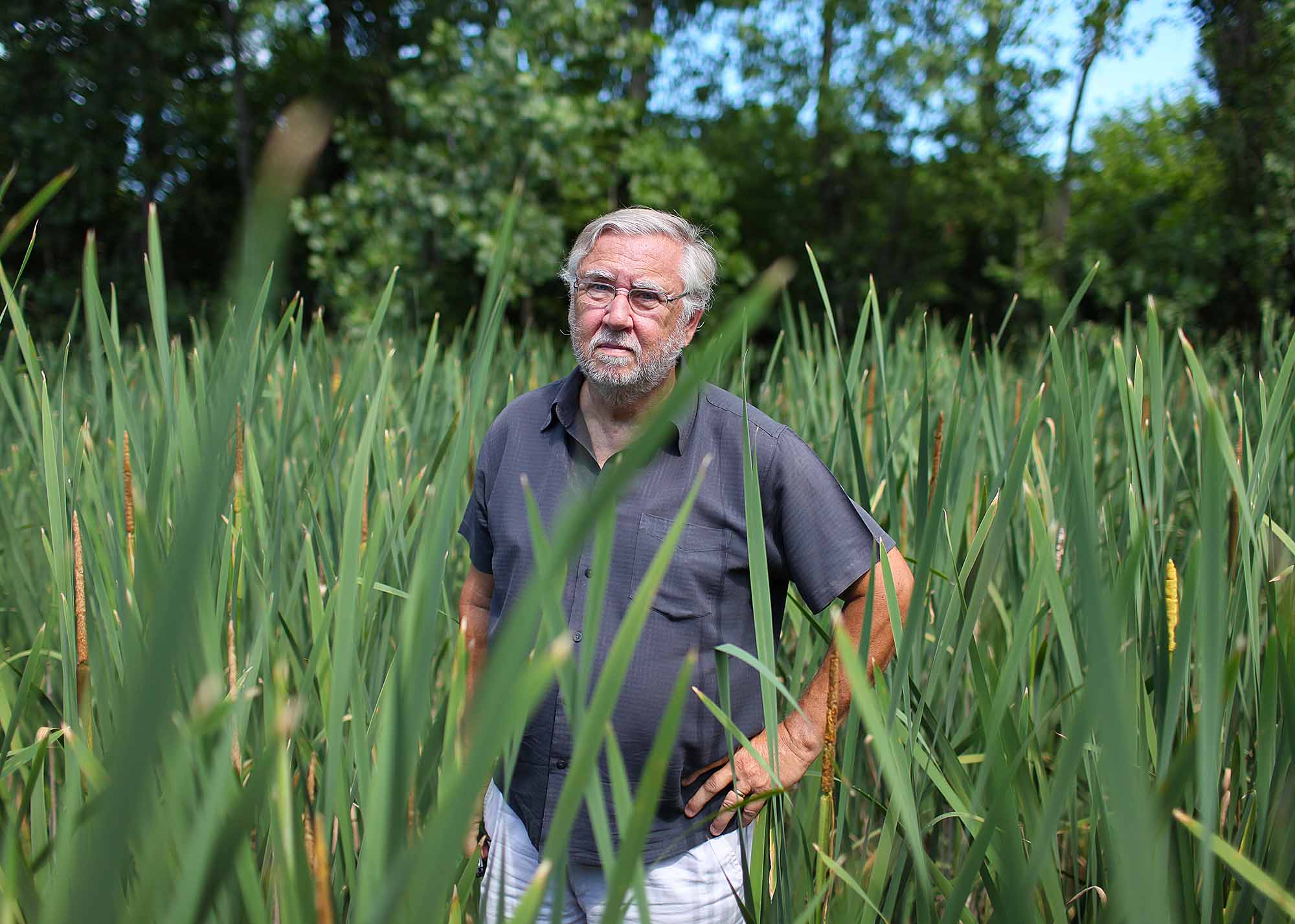 Guest Speaker - Dr. William J Mitsch | Environmental Sciences Graduate ...