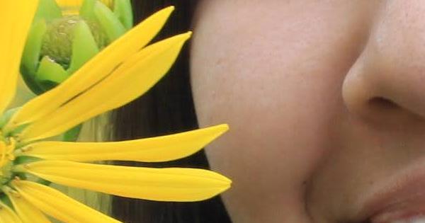 Michelle Pham Awarded 2024-2025 Presidential Fellowship | Environmental Sciences Graduate Program